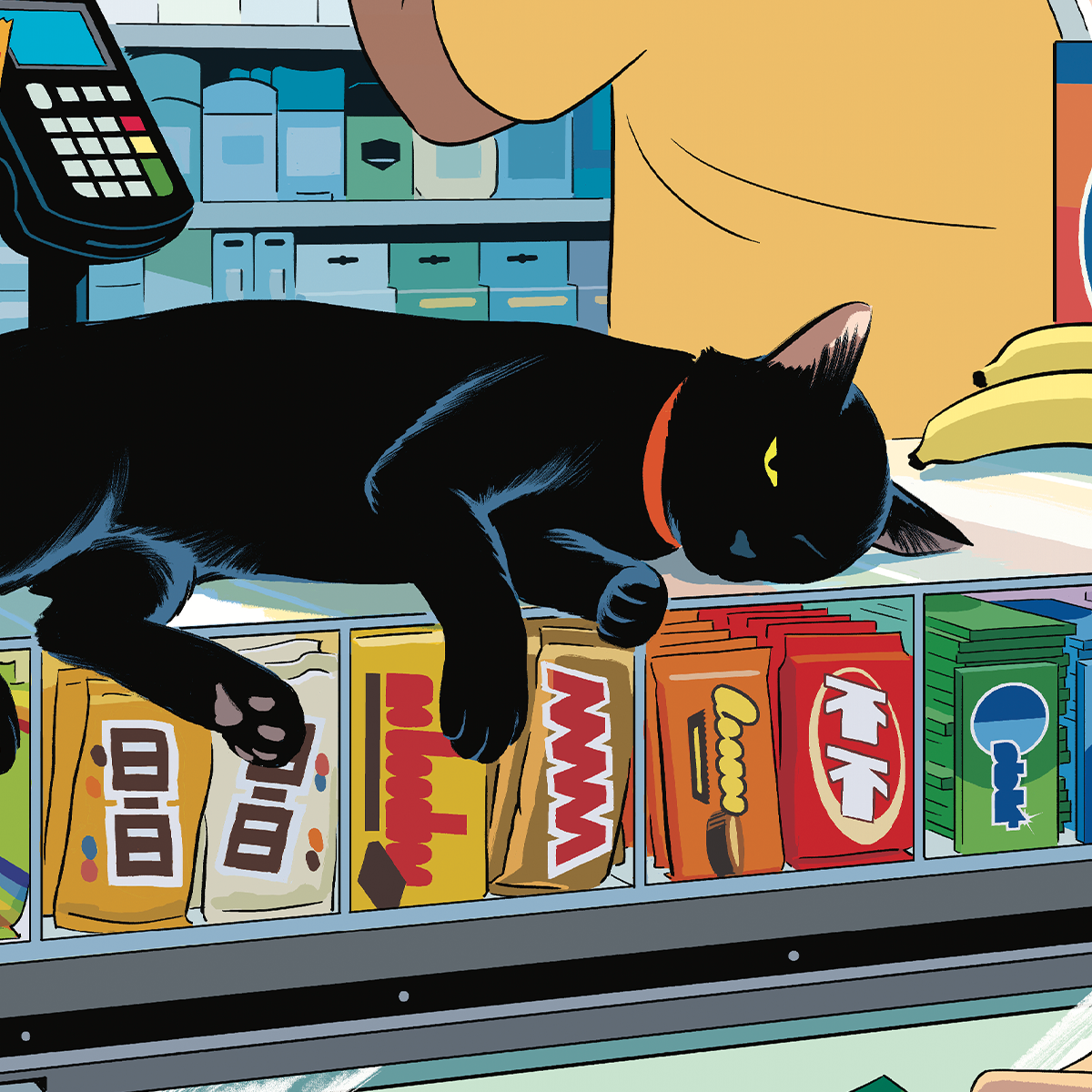 Challenging Puzzles For Cat Lovers – New York Puzzle Company